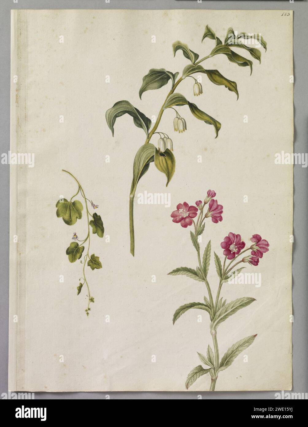 Alexander Marshal Stock Photo - Alamy