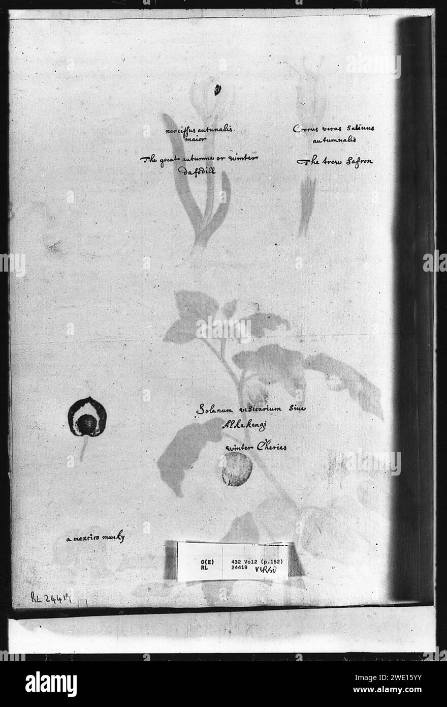 Alexander Marshal Stock Photo - Alamy