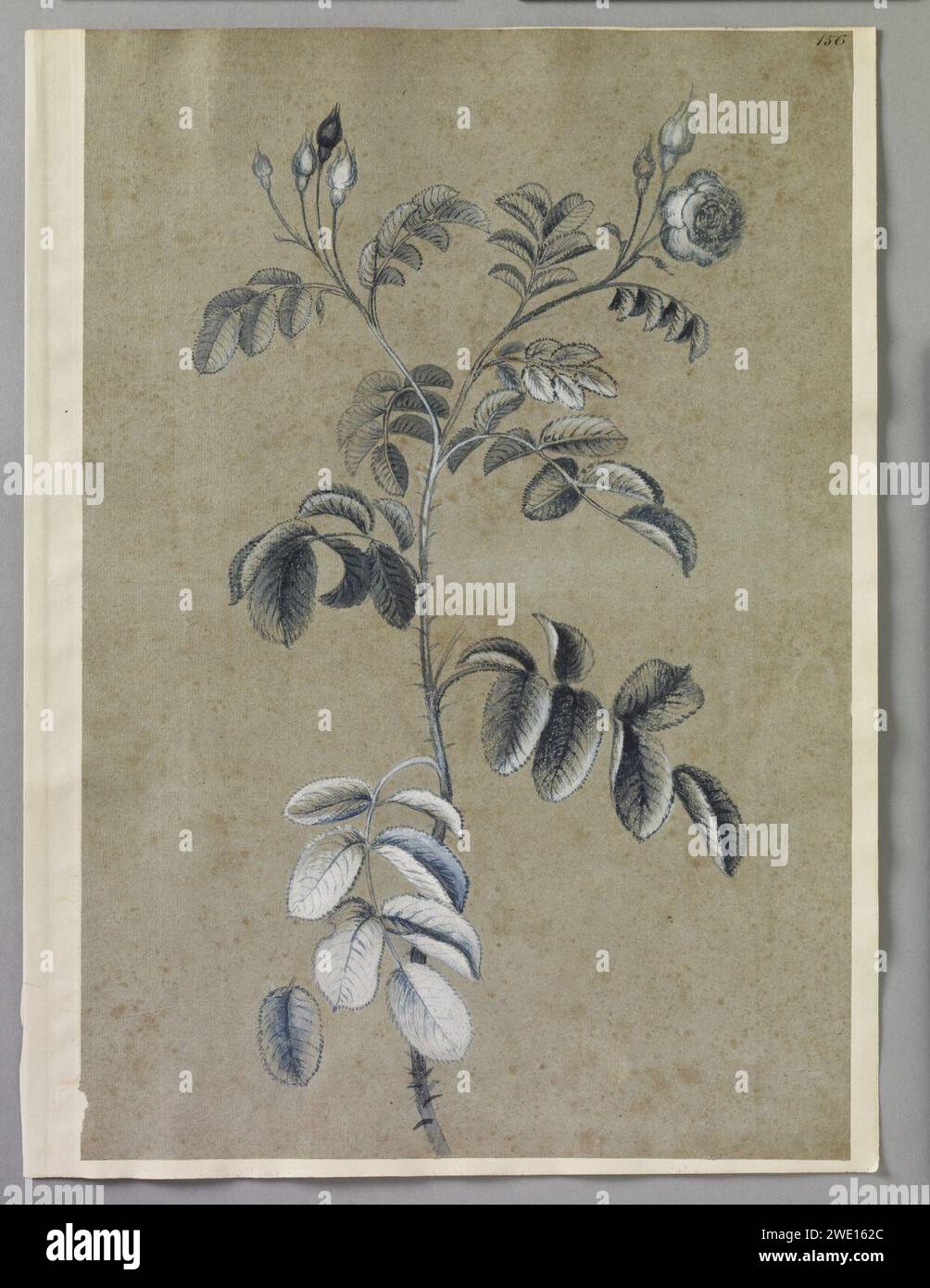 Alexander Marshal Stock Photo - Alamy