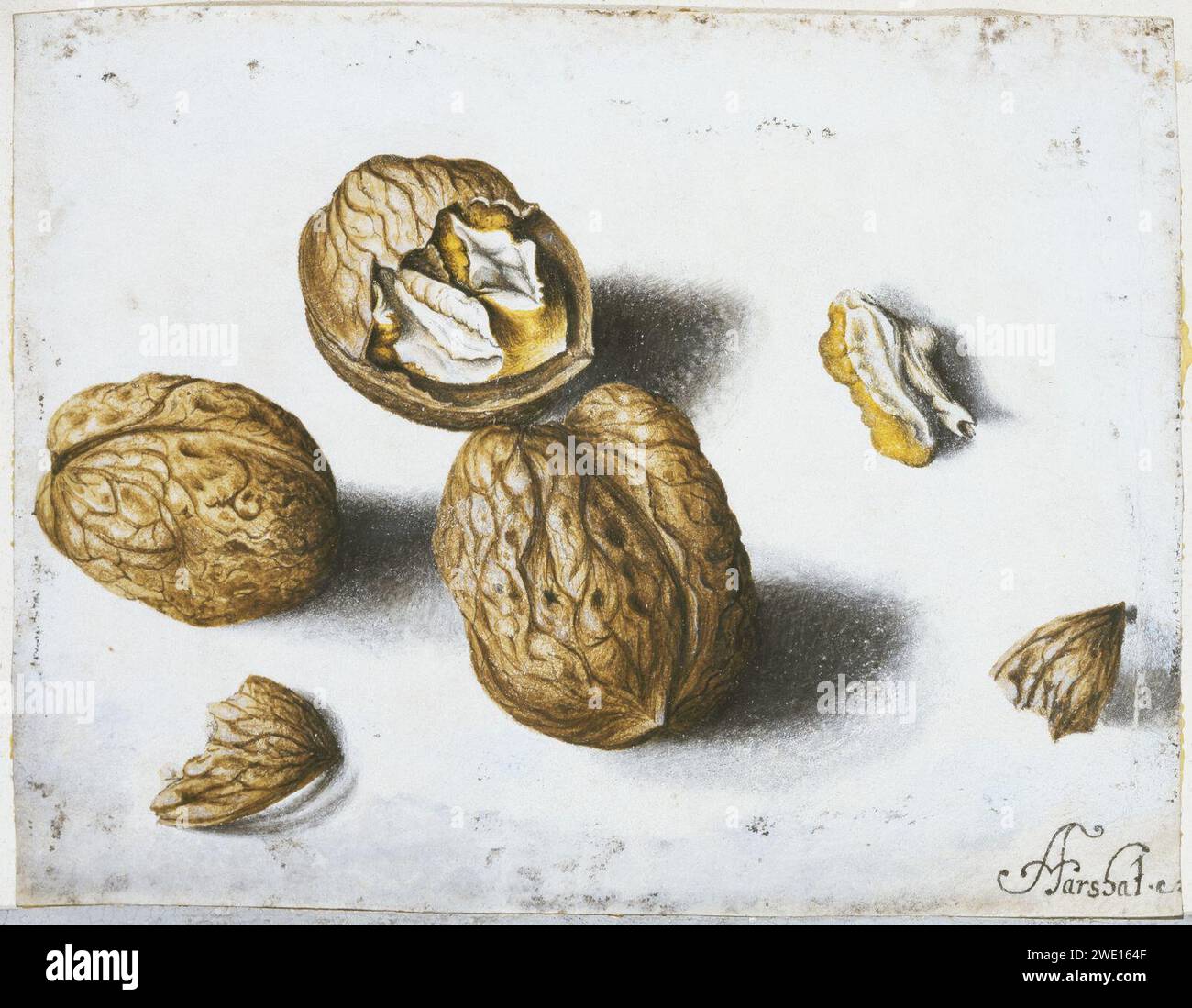 Alexander Marshal Stock Photo - Alamy