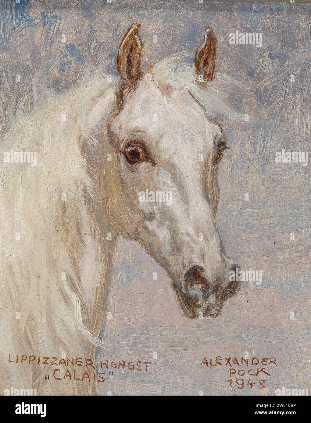 Alexander pock hi-res stock photography and images - Alamy