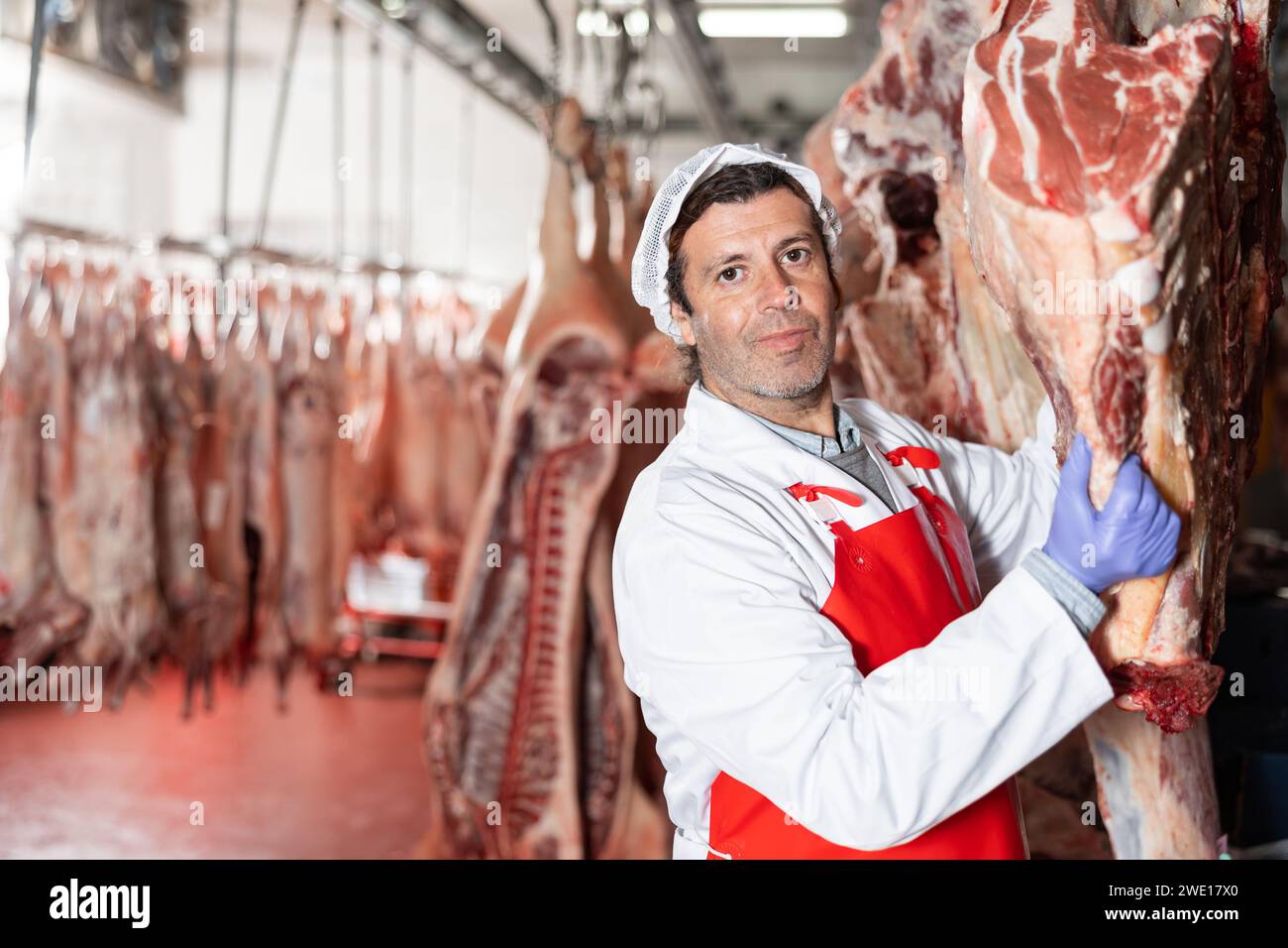 Male slaughterhouse worker showing beef chunk in meat storage Stock ...