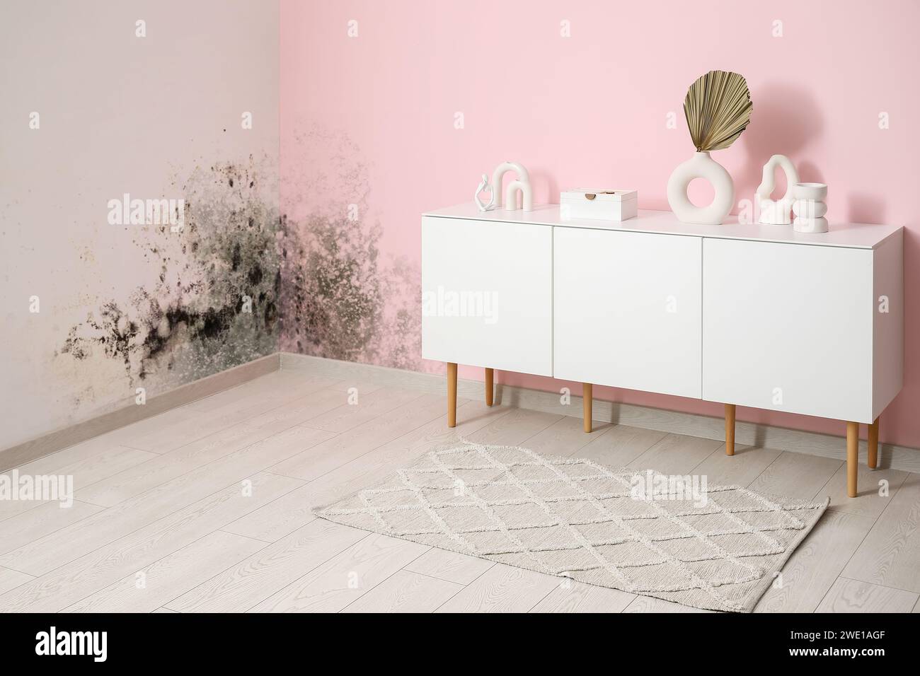 Fungal spore asthma hi-res stock photography and images - Alamy