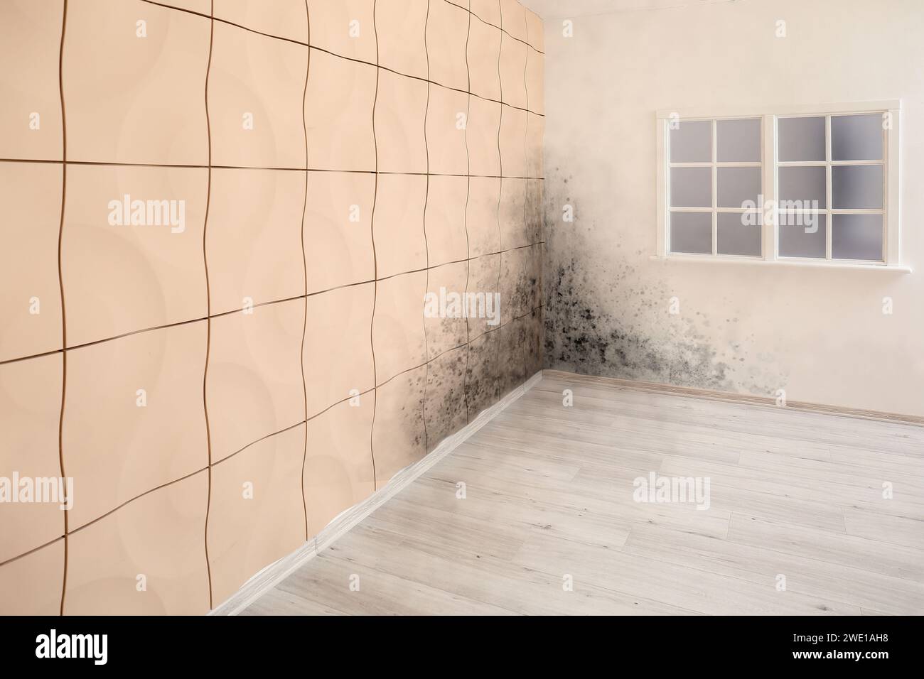 Black mold on walls in empty room Stock Photo - Alamy