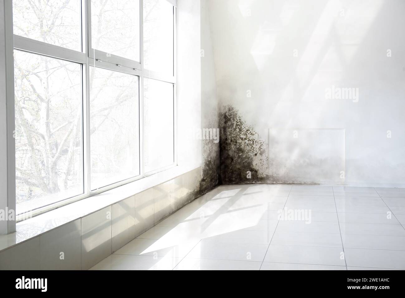 Fungal spore asthma hi-res stock photography and images - Alamy