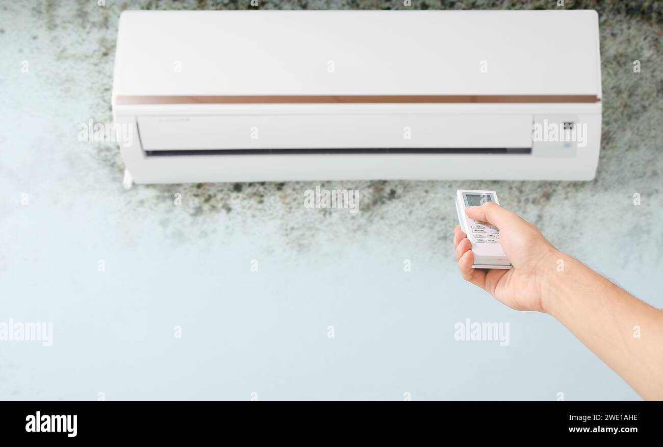 Dangerous mold fungus on wall hi-res stock photography and images - Alamy