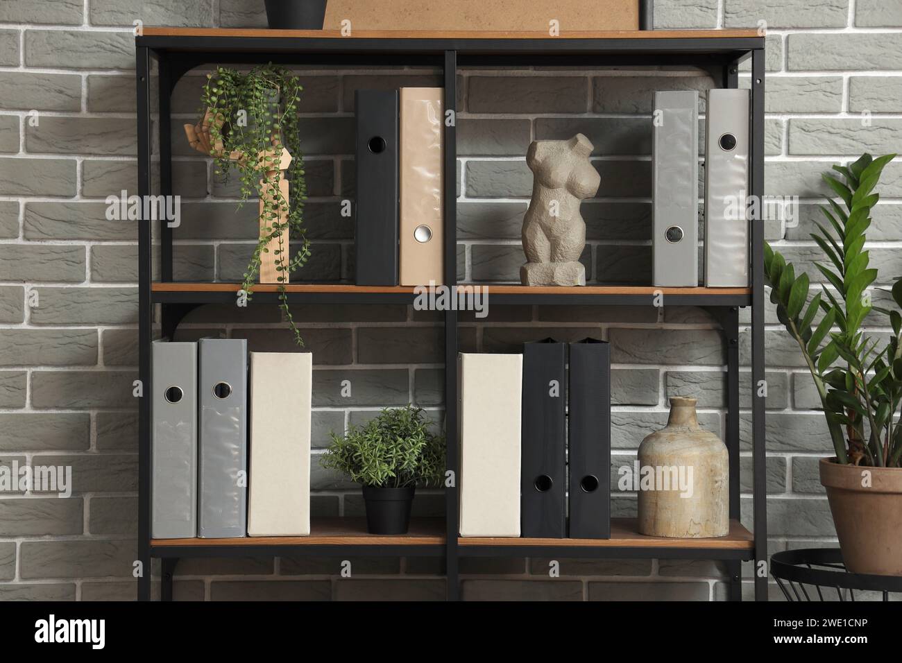 Shelf unit with document folders and plants in office Stock Photo - Alamy