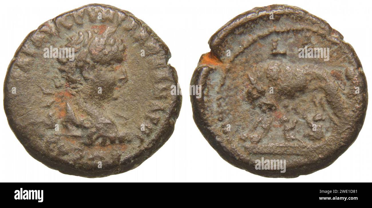 Alexander of alexandria Cut Out Stock Images & Pictures - Alamy