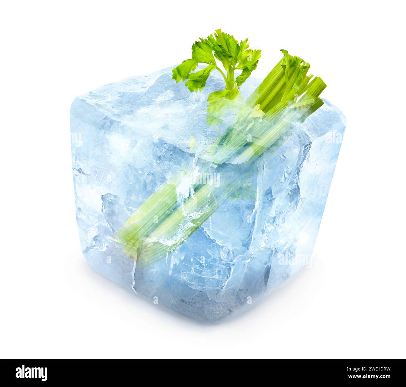 Frozen food. Raw celery in ice cube isolated on white Stock Photo - Alamy