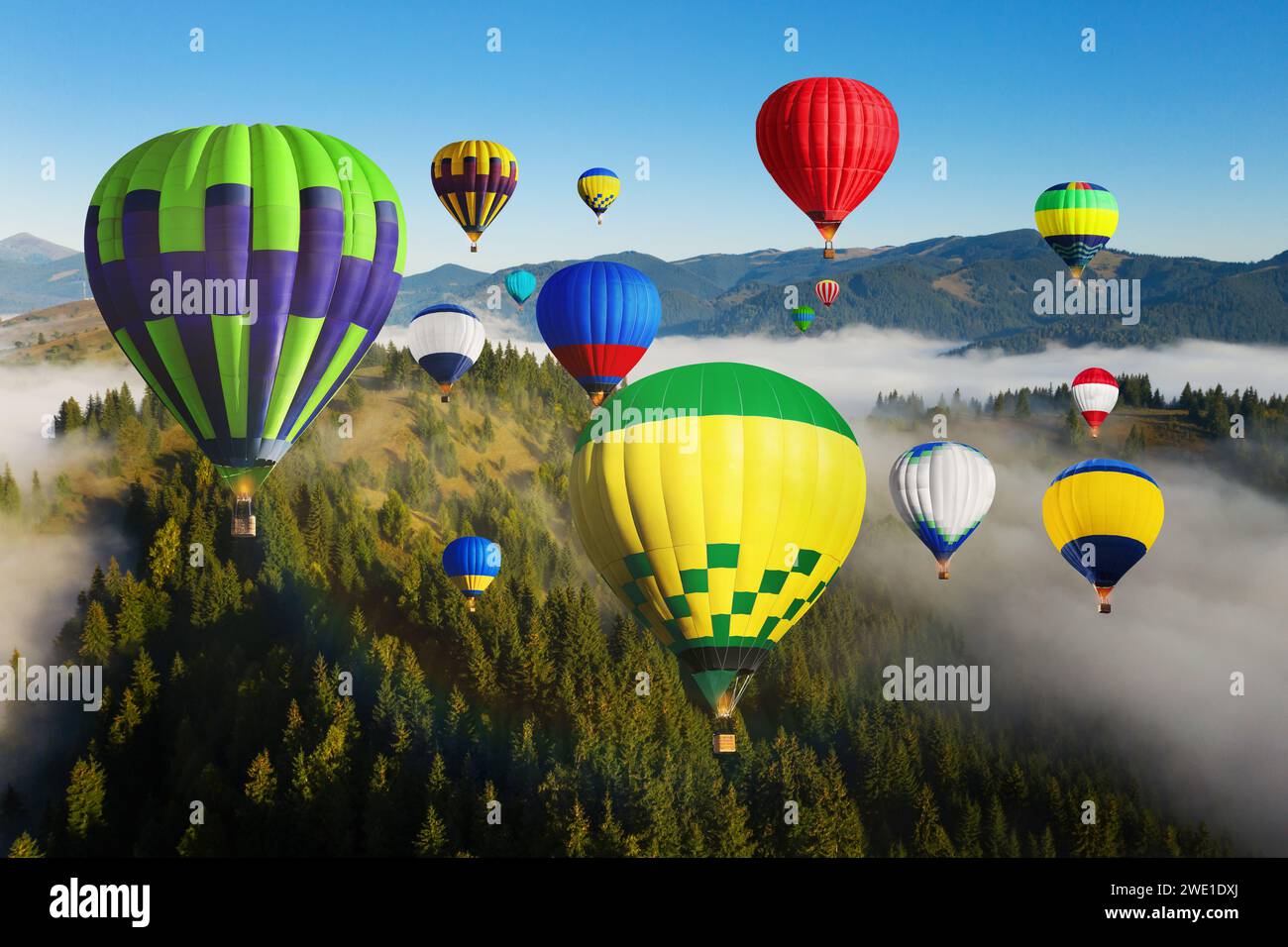Flying over green spruce forest hi-res stock photography and images - Alamy