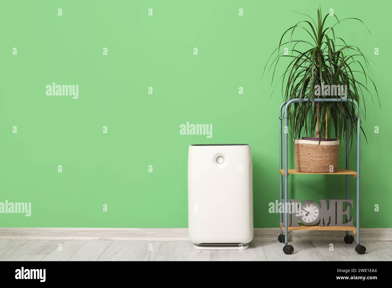 Air purifier tree hi-res stock photography and images - Alamy