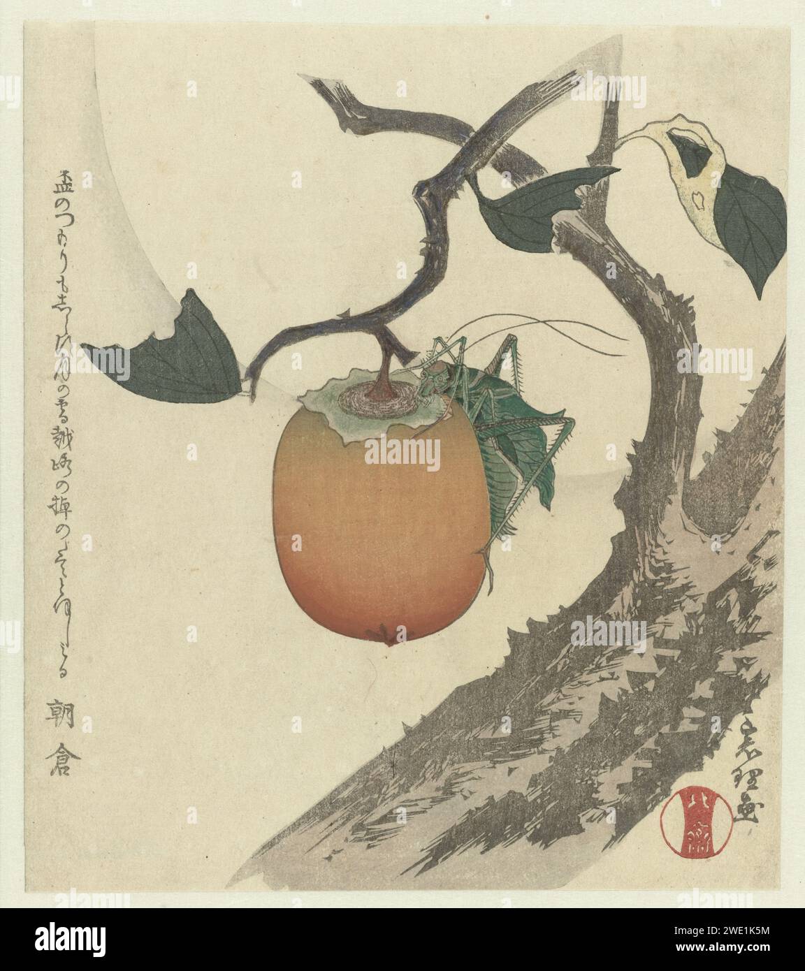 Kakivrucht Met Sprinkhaan, Katsushika Hokusai, c. 1890 - c. 1900 print ...