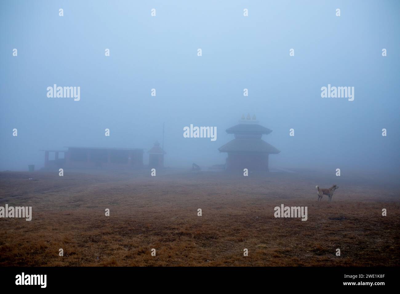 Cold freezing winter morning Stock Photo - Alamy