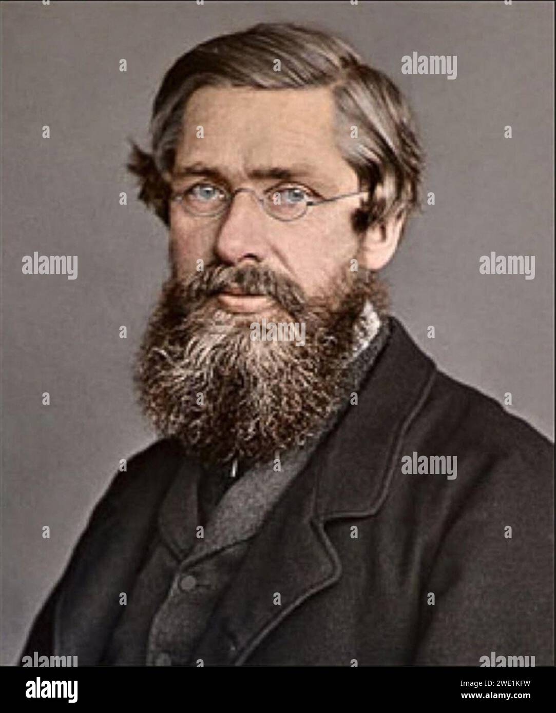 Alfred Russel Wallace, ca. 1869 Stock Photo - Alamy