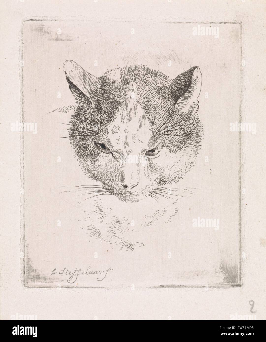 Kop van a cat, Cornelis Steffelaar, 1807 - 1861 print Amsterdam paper ...