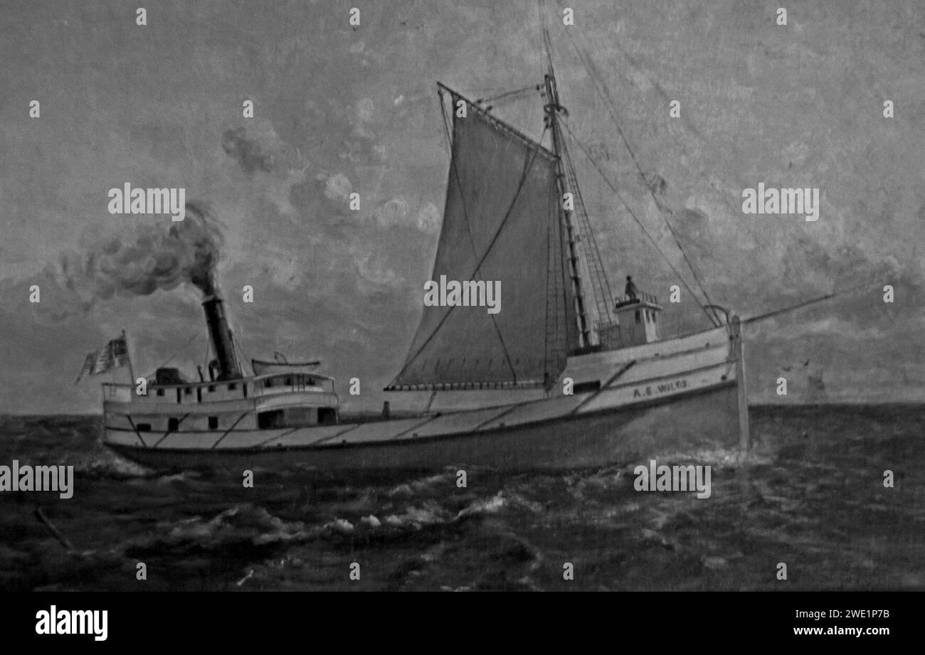 Wilds Black and White Stock Photos & Images - Alamy