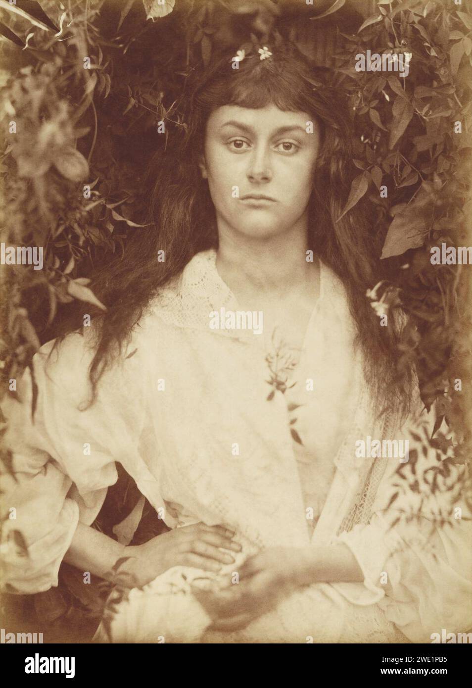 Pomona alice liddell hi-res stock photography and images - Alamy