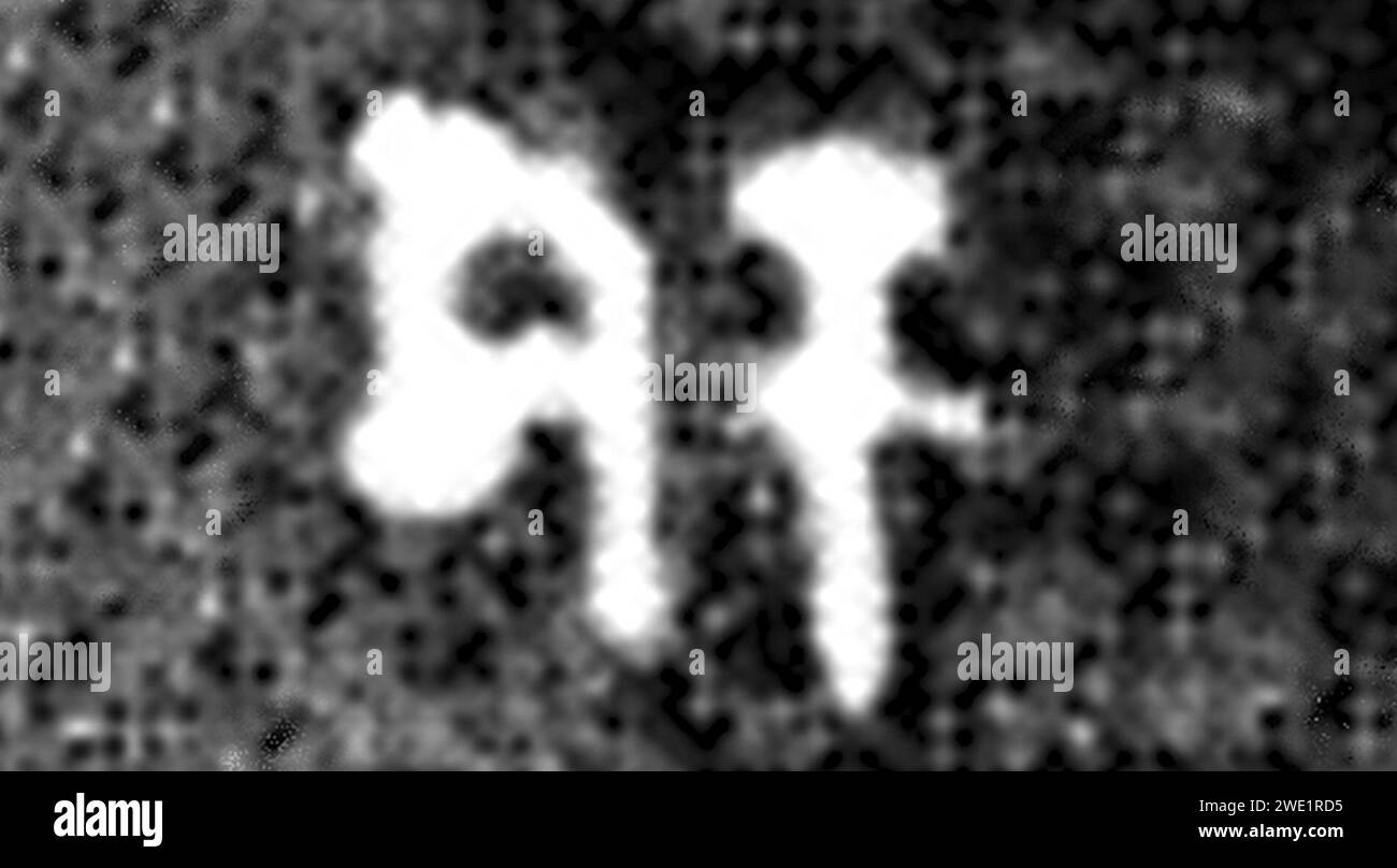 Allahabad pillar Samudragupta inscription Shaka word in Line 23 Stock ...