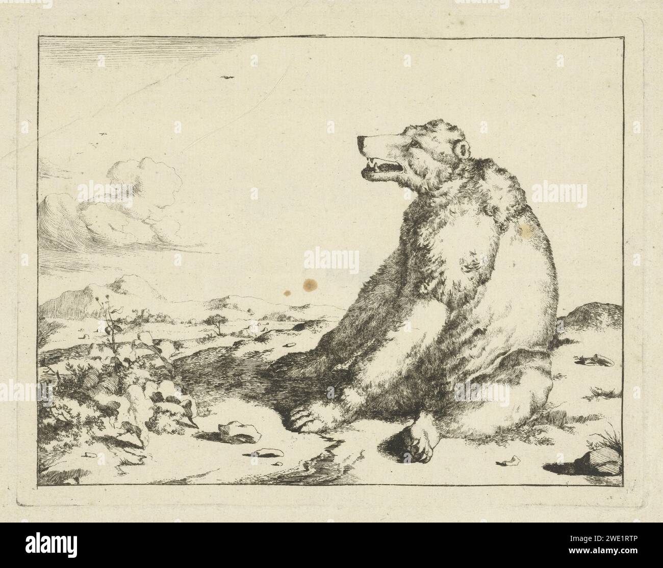 Seated bear, and Profil, Marcus de Bye, After Paulus Potter, 1657 - c ...