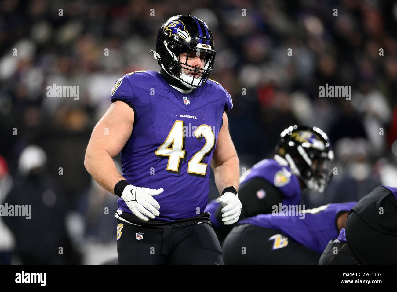 Baltimore Ravens fullback Patrick Ricard (42) in action during the ...