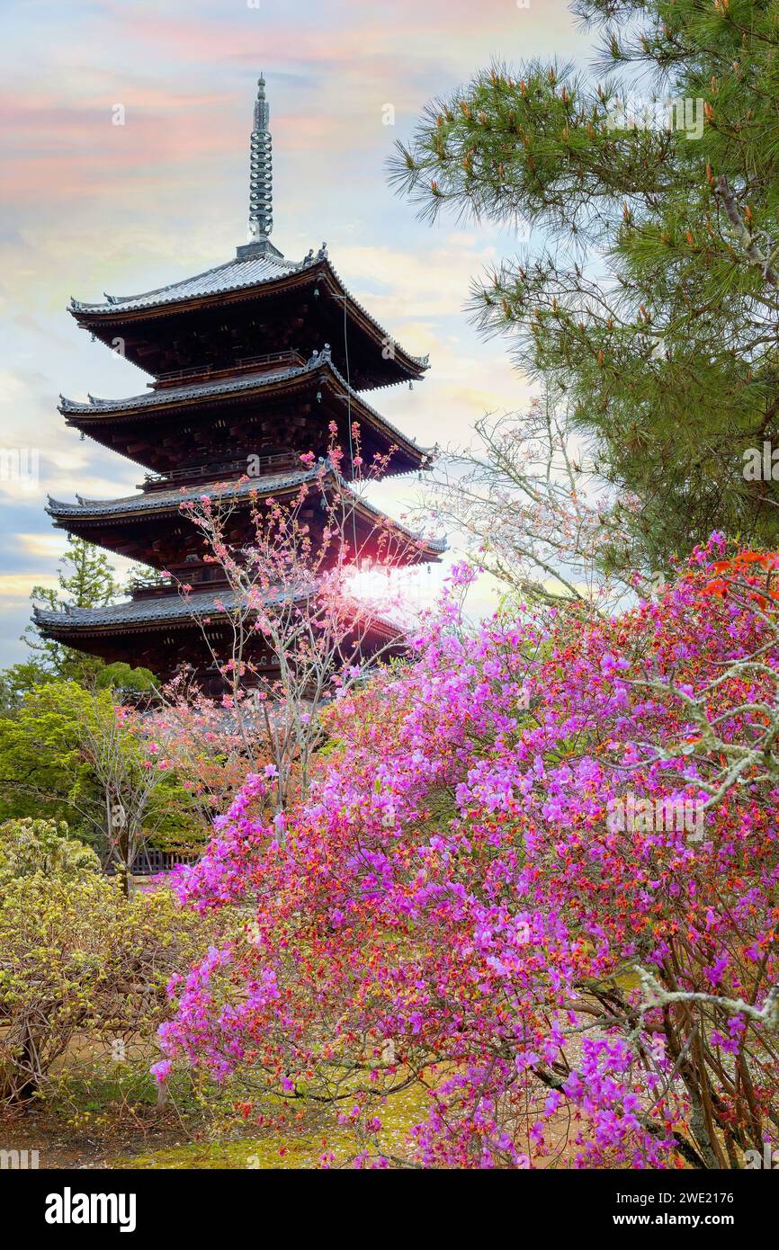 Kyoto, Japan - April 6 2023: Ninnaji is one of Kyoto's great temples ...