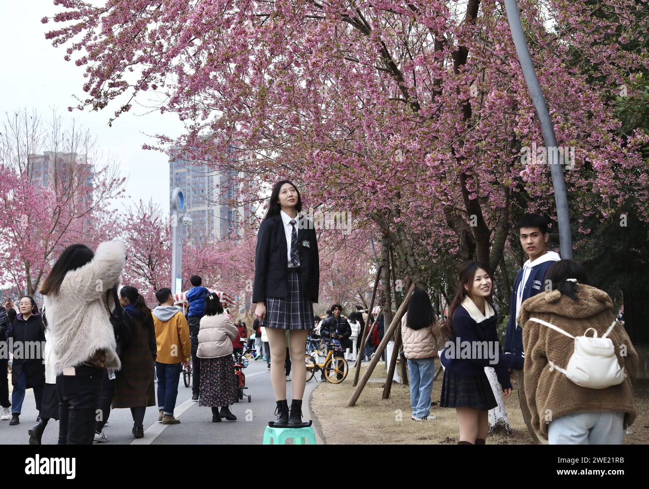 **CHINESE MAINLAND, HONG KONG, MACAU AND TAIWAN OUT** Tourists admire ...