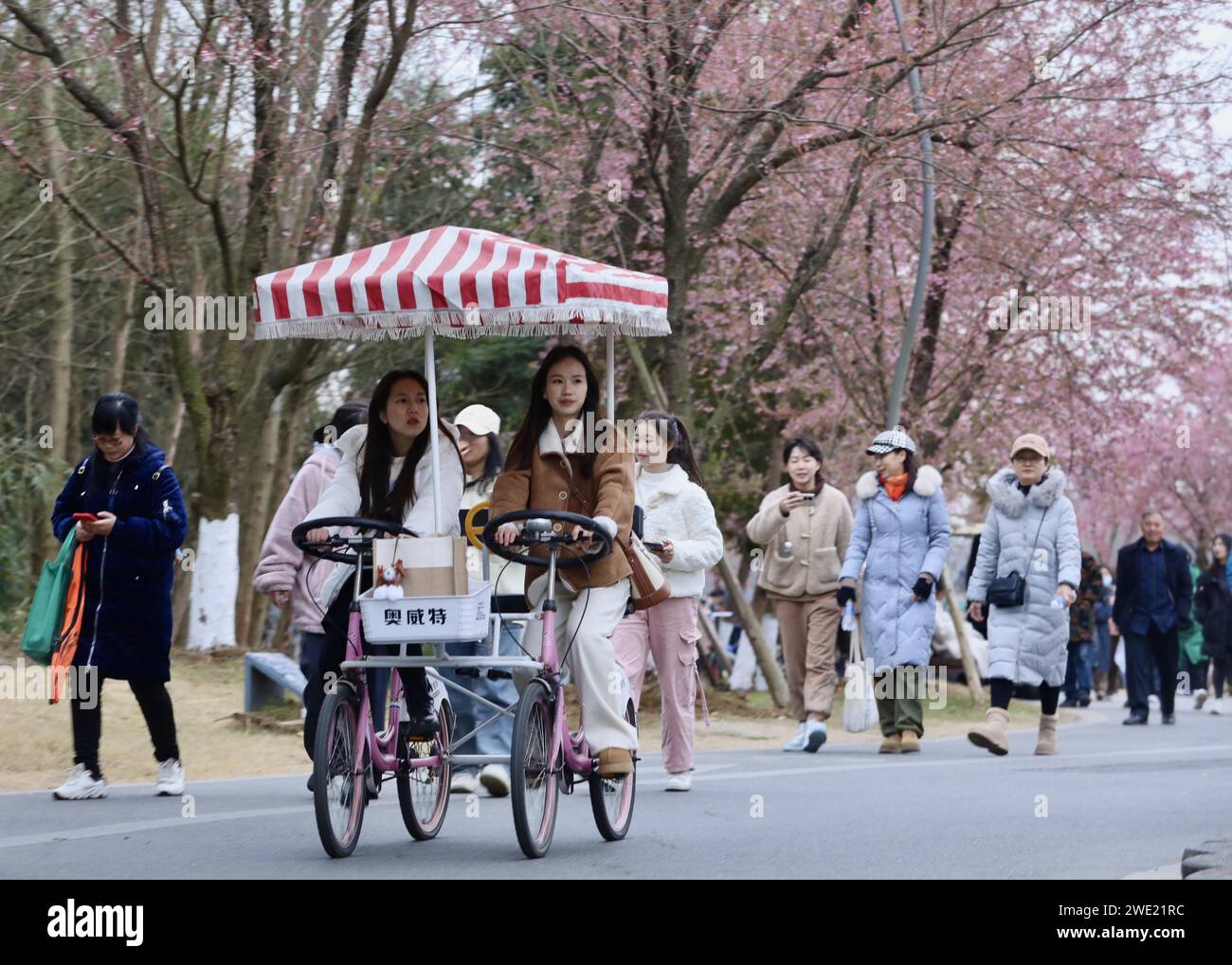 **CHINESE MAINLAND, HONG KONG, MACAU AND TAIWAN OUT** Tourists admire ...