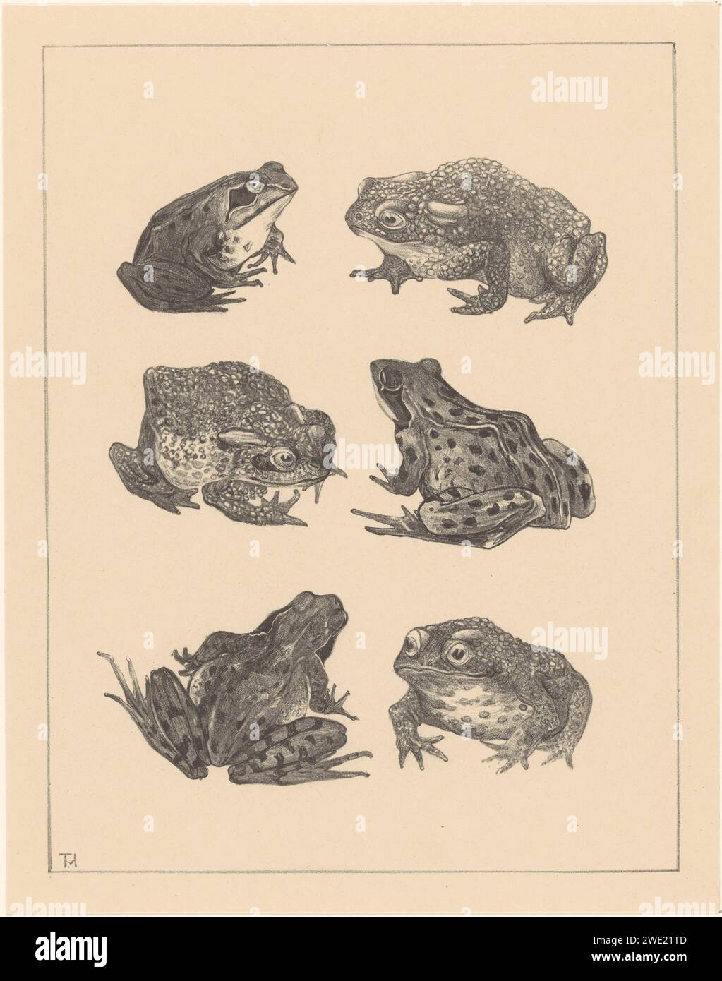 Six frogs and toads, Theo van Hoytema, 1878 - 1914 print paper tailless ...