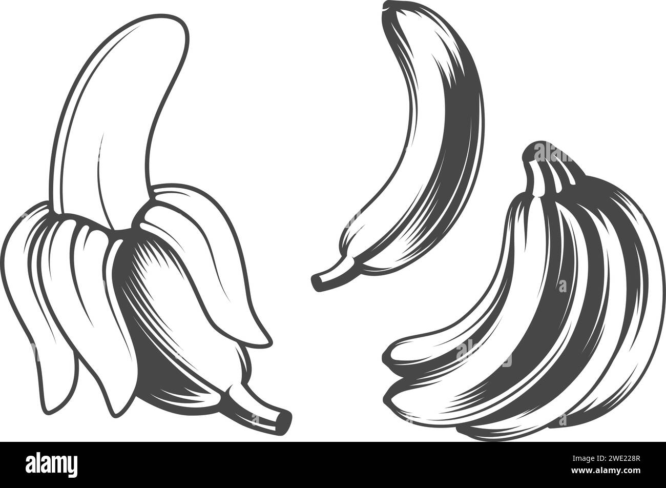 Banana monochrome illustrations Stock Vector Image & Art - Alamy