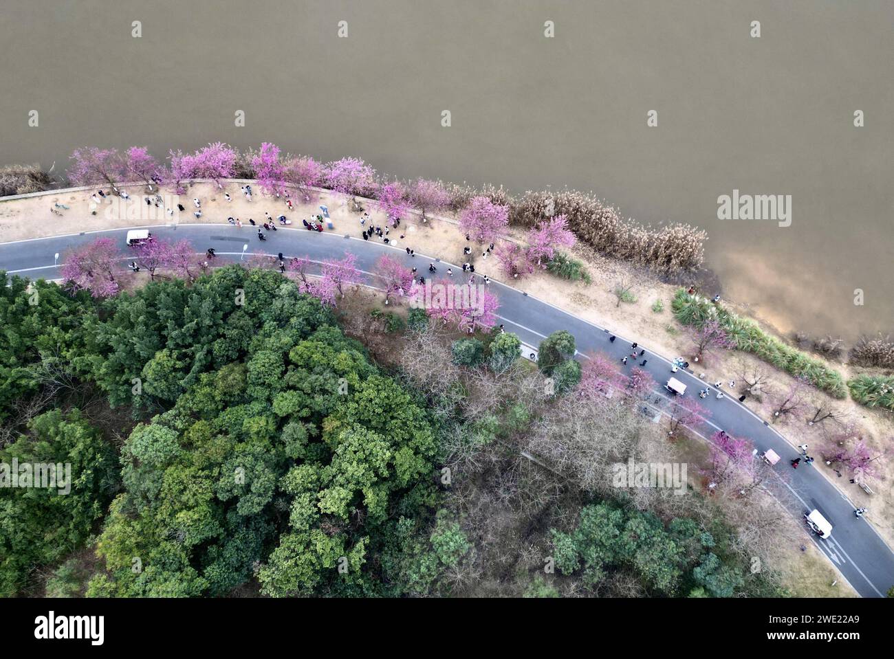 **CHINESE MAINLAND, HONG KONG, MACAU AND TAIWAN OUT** Tourists admire ...