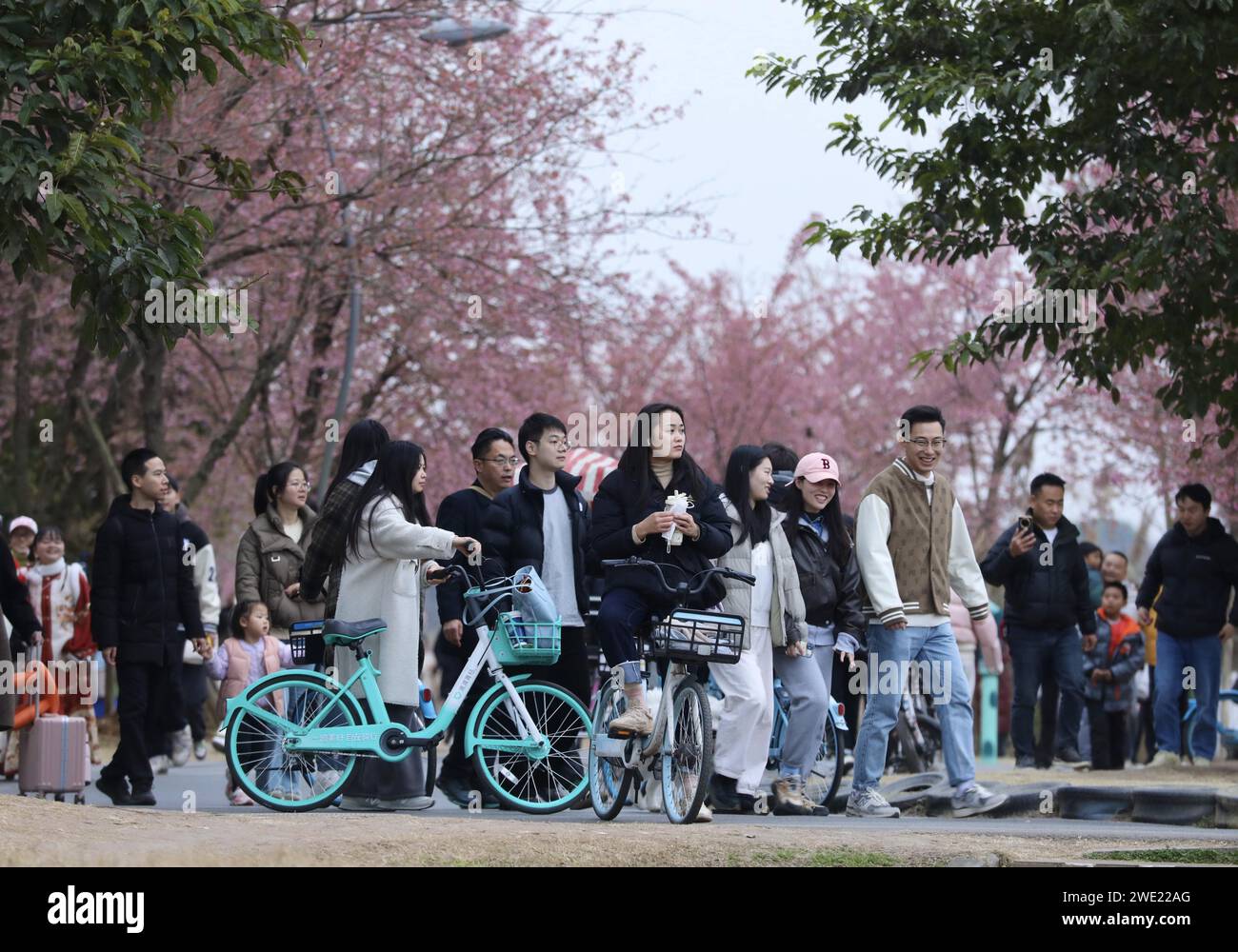 **CHINESE MAINLAND, HONG KONG, MACAU AND TAIWAN OUT** Tourists admire ...
