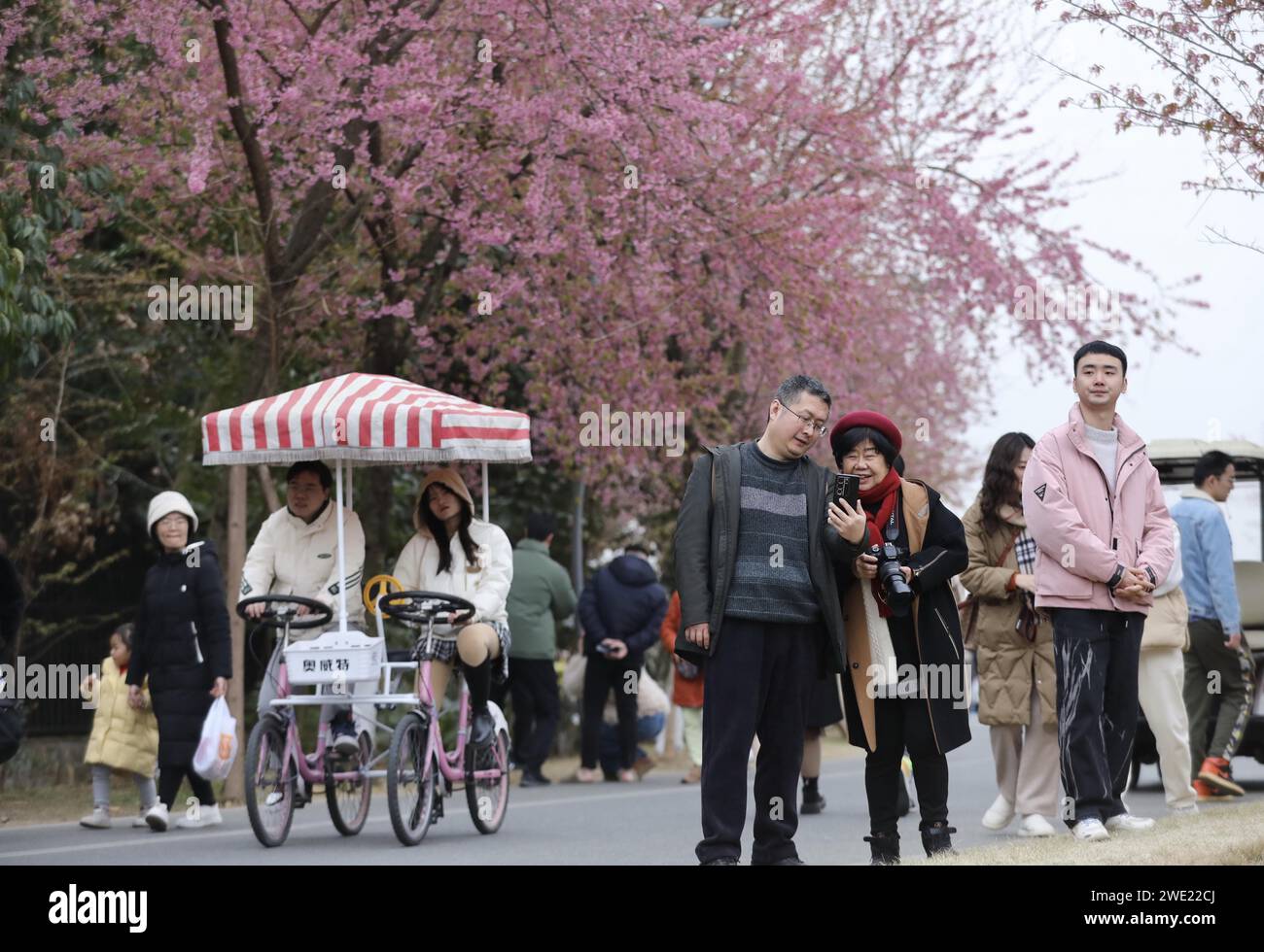 **CHINESE MAINLAND, HONG KONG, MACAU AND TAIWAN OUT** Tourists admire ...