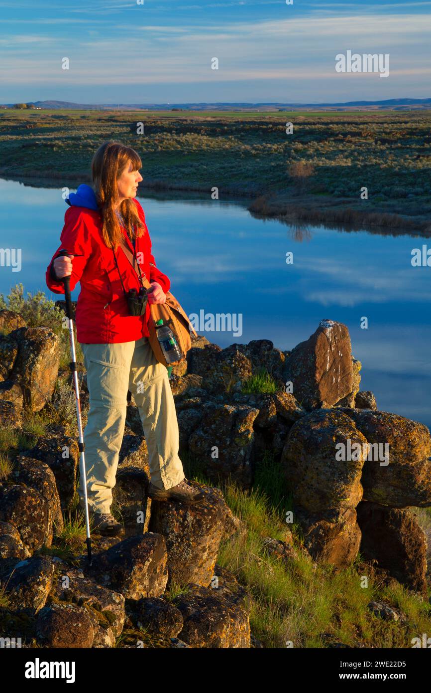 Desert wildlife area unit hi-res stock photography and images - Alamy