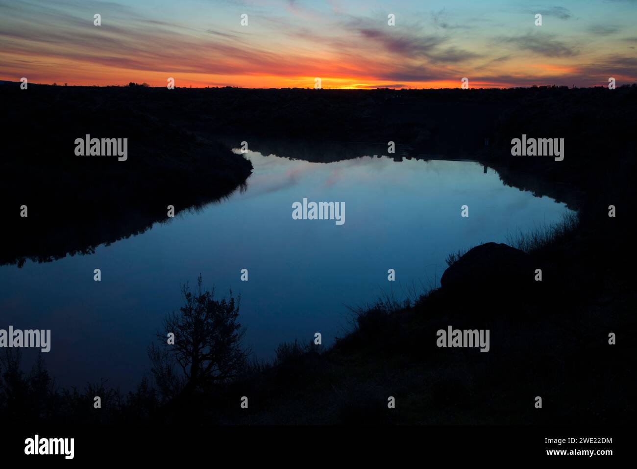 Desert wildlife area unit hi-res stock photography and images - Alamy