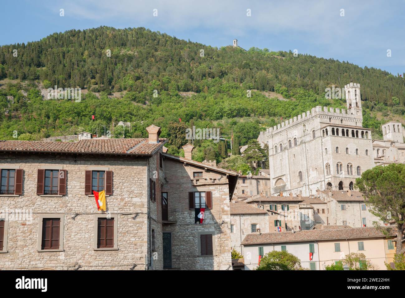 Green forest on hill behind traditional buildings and old fort in ...