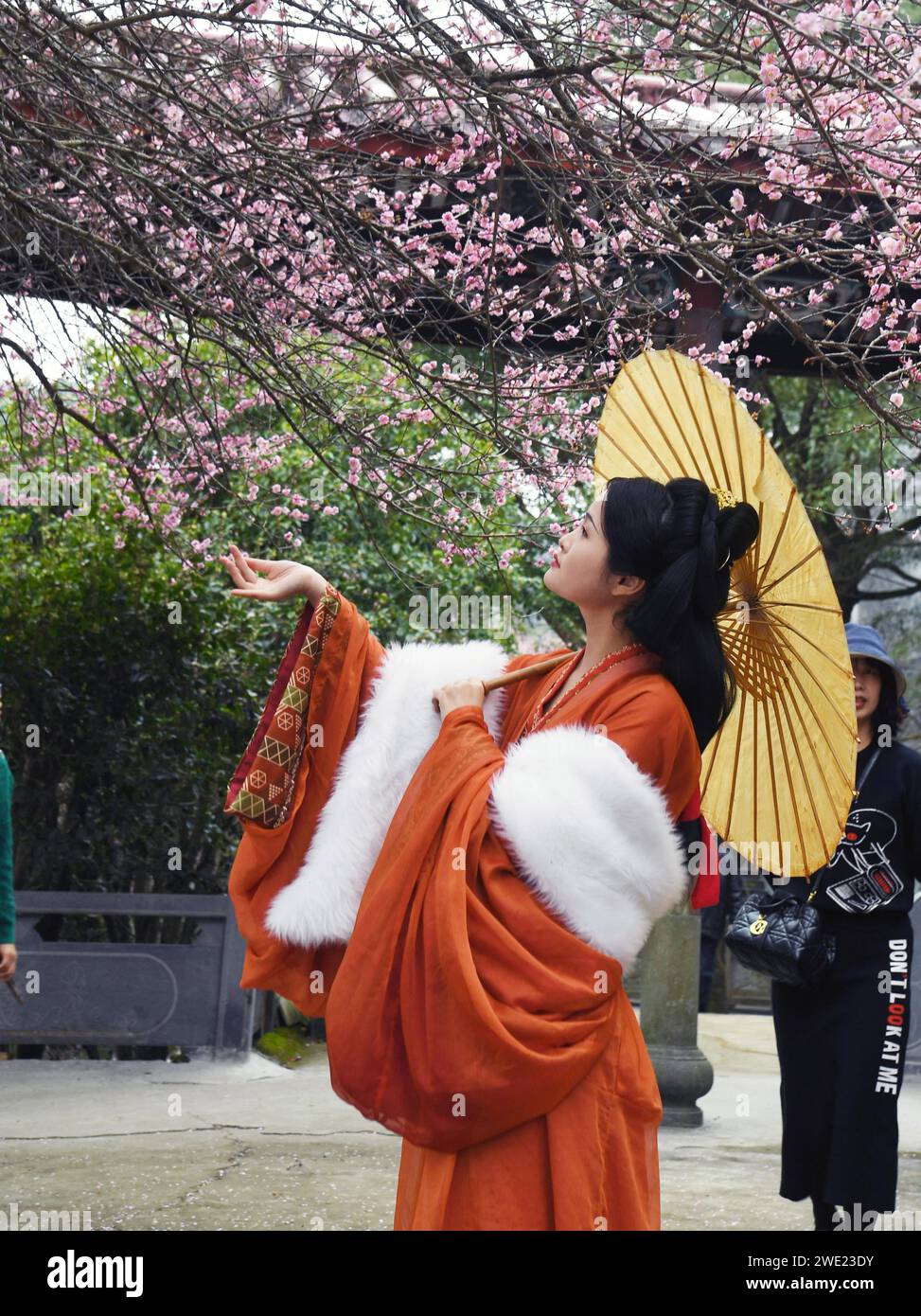 **CHINESE MAINLAND, HONG KONG, MACAU AND TAIWAN OUT** Plum blossoms ...