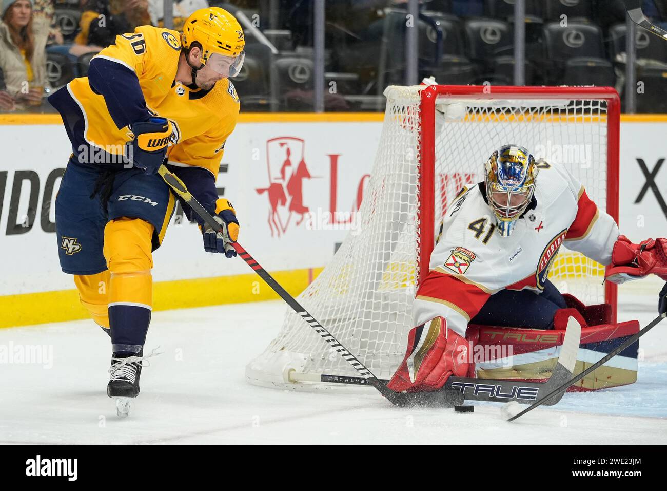 Nashville Predators left wing Cole Smith (36) tries to get the puck ...