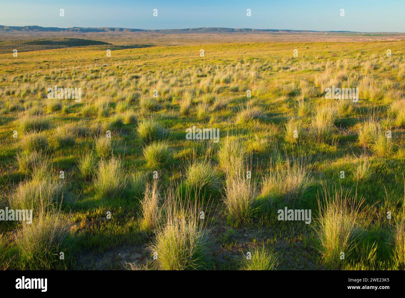 Hanford reach national monument hi-res stock photography and images - Alamy