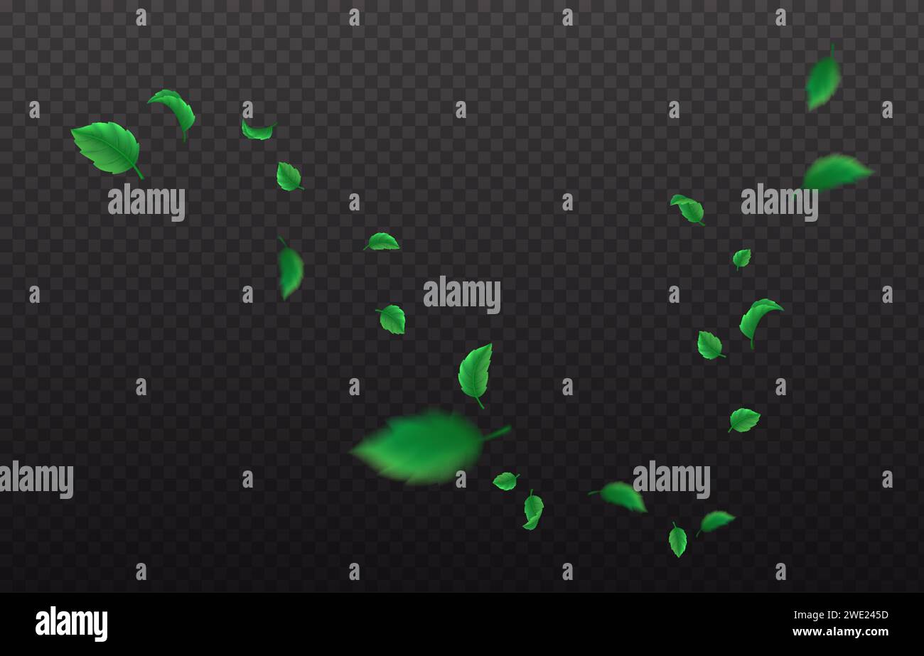 Fresh spring leaves flow realistic vector illustration. Lush floating ...