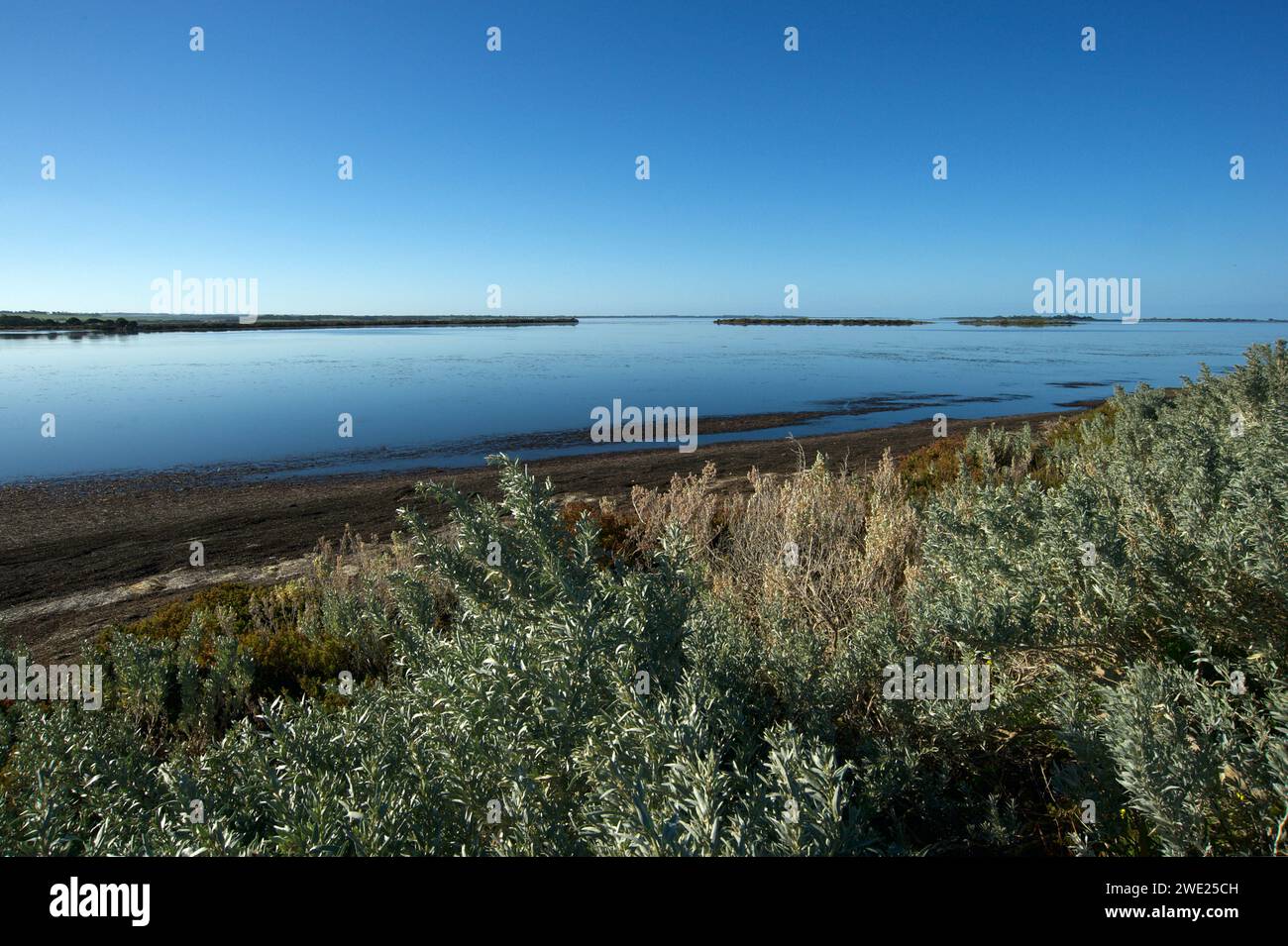 Swan Bay is a nature reserve and lagoon, on the Bellarine Peninsula ...