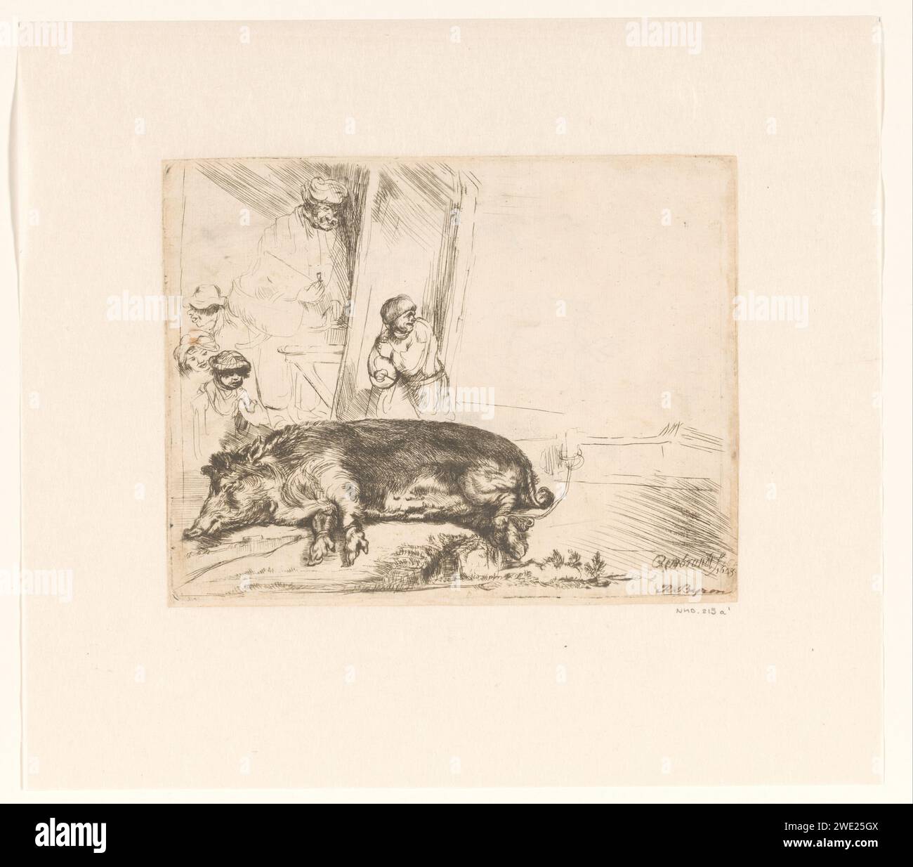 Castrated pig hi-res stock photography and images - Alamy