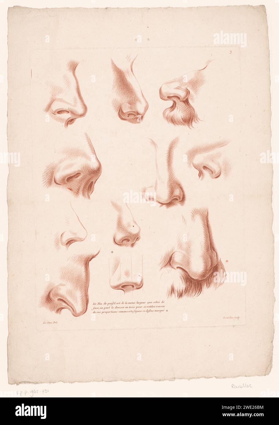 Eleven noses from different perspectives, Roubillac, After Pierre ...