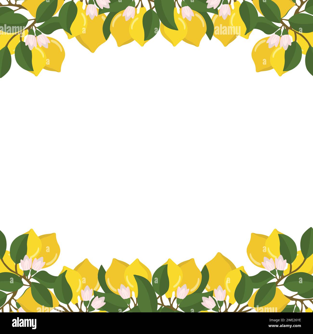 A border of lemon twigs and lemons. Composition of citrus fruits ...