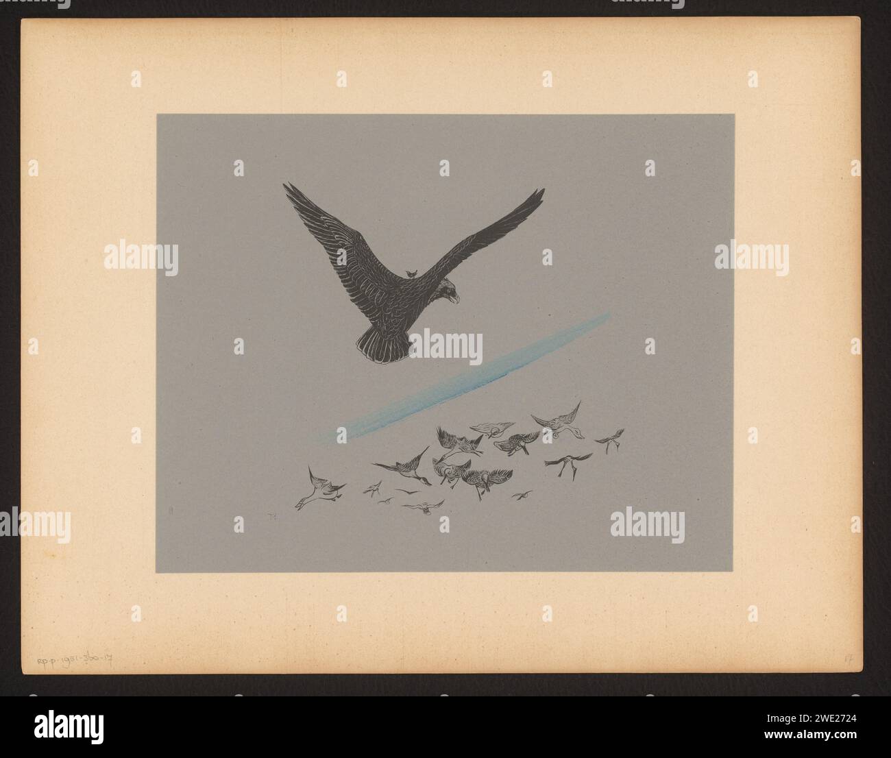 Arend with a winter king on the back floats above a group of birds ...