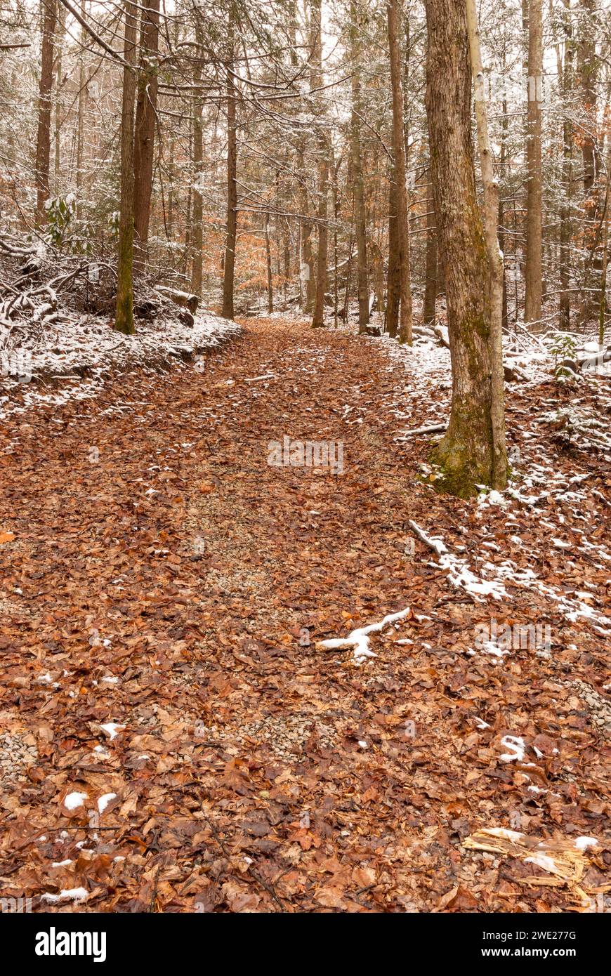 Path to Ford Cemetery in East Tennessee Stock Photo - Alamy