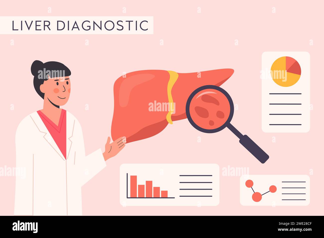 Concept of Consulting Doctor. Hospital Check Up. Liver Organ ...