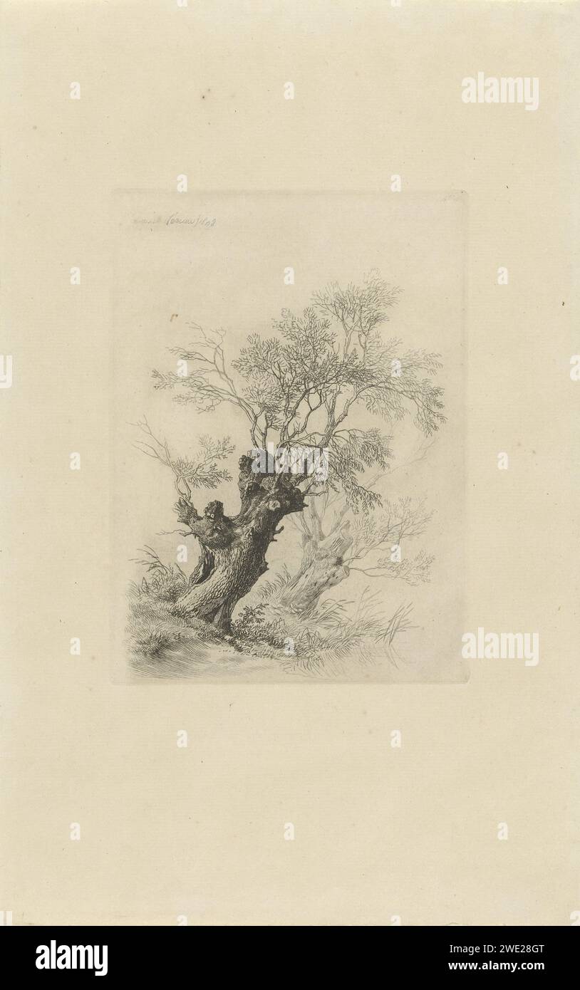 Wilgenboom, Remigius Adrianus Haanen, 1848 print A floating willow tree ...