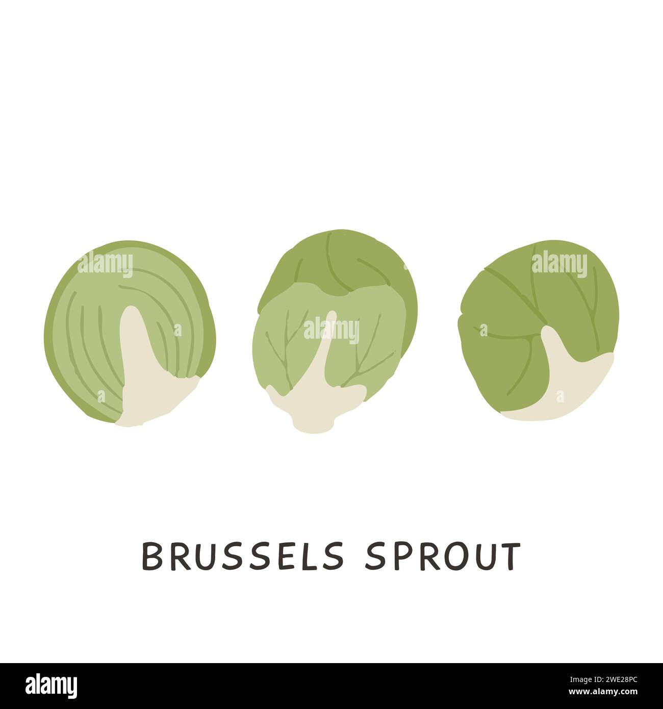 Whole brussel sprouts Stock Vector Images - Alamy