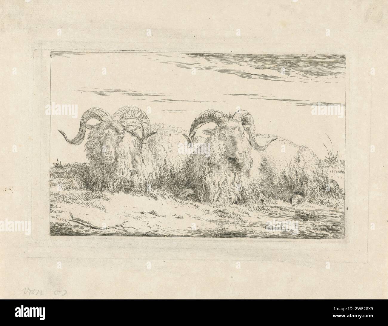 Two lying rams, Pieter Gerardus van Os, 1791 - 1839 print Netherlands ...