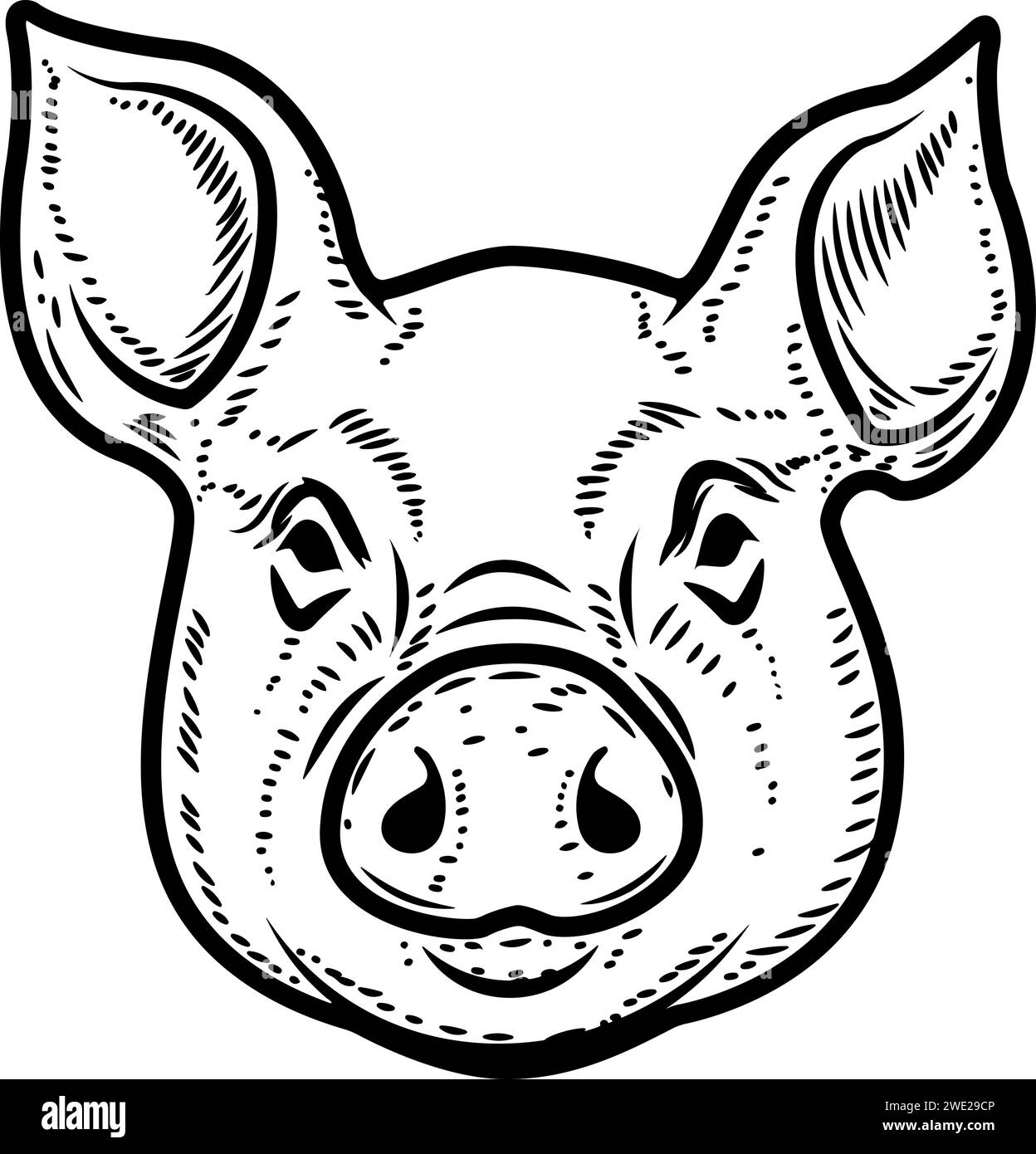 Illustration of a pig head isolated on white background. Pork meat ...